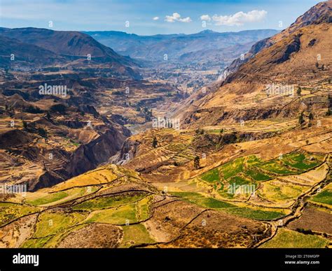 Panoramic View Of Colca Canyon And Its Stepped Terraced Fields Peru