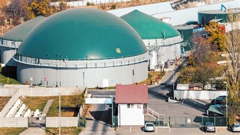 Ştefan Tudorie Deșeurile biodegradabile nu ajung la producătorii de