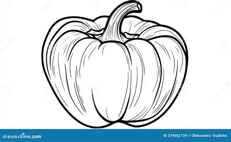 Pepper Drawing Isolated On White Background Cartoon Vector