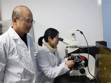 向世界宣布！嫦娥五号月壤发现“小蝌蚪”，头大尾巴长，有何影响