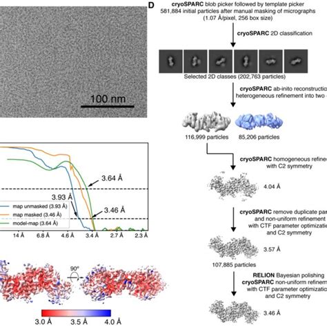 Figure Supplement 3 Cryo Em Image Processing Workflow For