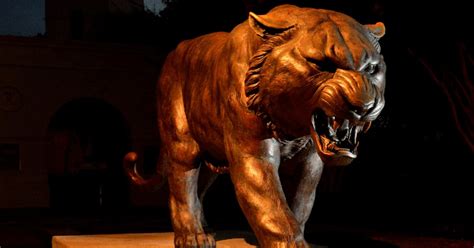 Firing Of Lsu Professor Who Used Profanity In The Classroom Raises