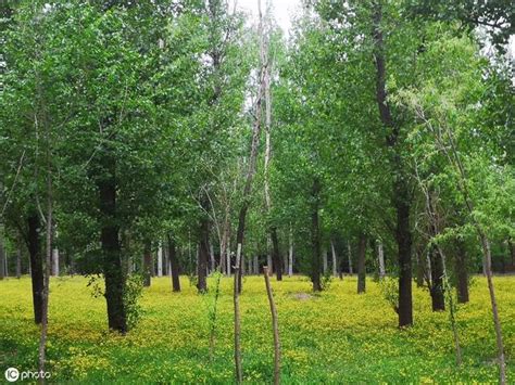 這處美爆的市區公園少有人知，假期極清靜，被稱「謎一般的存在」 每日頭條