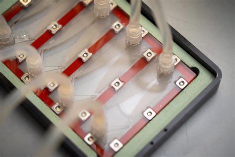 Tumor “stickiness” Scientists Develop Potential New Way To Predict