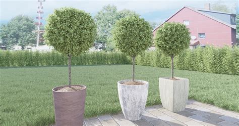 remove content from an object how to d5 render forum