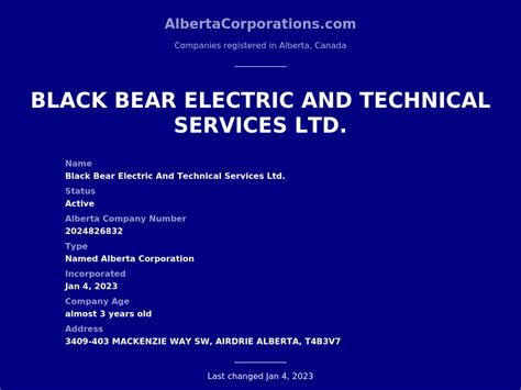 Black Bear Electric And Technical Services Ltd