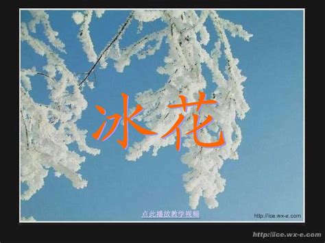 苏教版一年级上册《冰花》ppt课件2word文档在线阅读与下载无忧文档