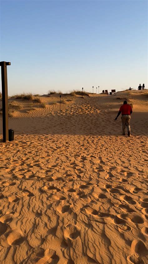 Shellie Shannon Orrell