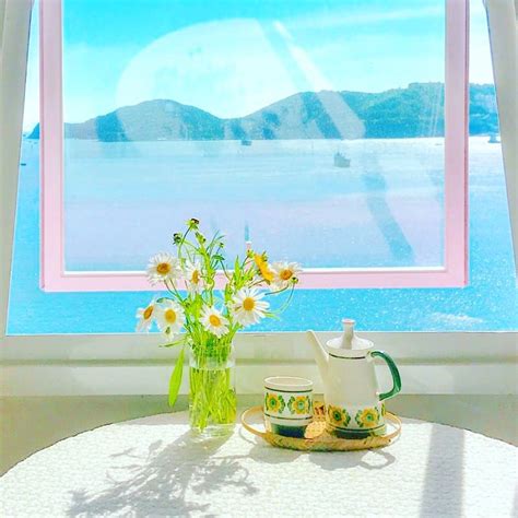 영도카페 흰여울비치🌳 가을아침 가을 햇살 가~득 담아 오늘도 문 활~짝 열어요😊 사회적 거리두기2단계 잠시동안 토일 영업시간 1130~ 1930 흰여울비치 휴양지