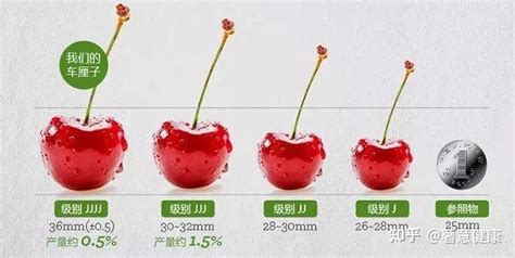 “车厘子自由”的好处 知乎