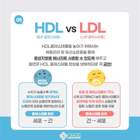 hdl 콜레스테롤 이란[hdl콜레스테롤 정상수치 높으면 낮은 hdl 콜레스테롤 의심] hdl콜레스테롤 높이는 방법 음식