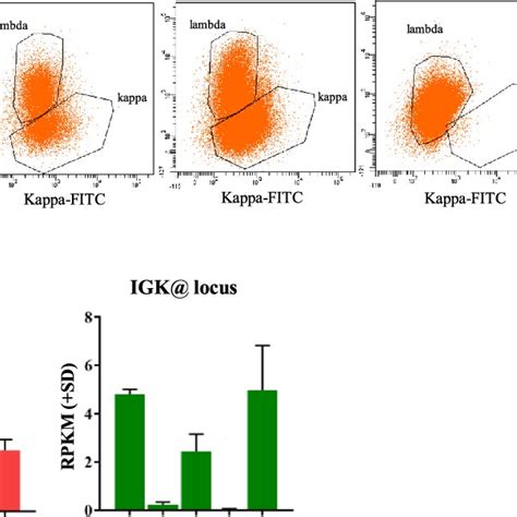 Sgt Lcl Clonality Assessed Based On Kappa Lambda Light Chain Exclusion