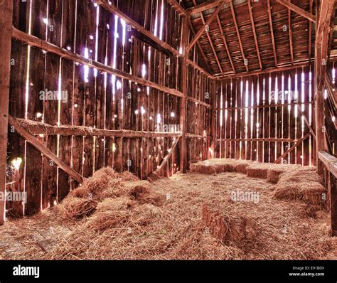 Inside Barn Hay