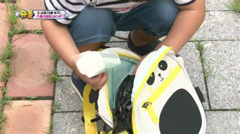 [슈돌] 강아지와 산책하다가 똥 치워주는 대박이 인스티즈 Instiz 이슈 카테고리