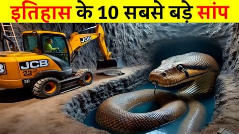 दुनिया के 10 सबसे बड़े और खतरनाक सांप Worlds 10 Largest And Most