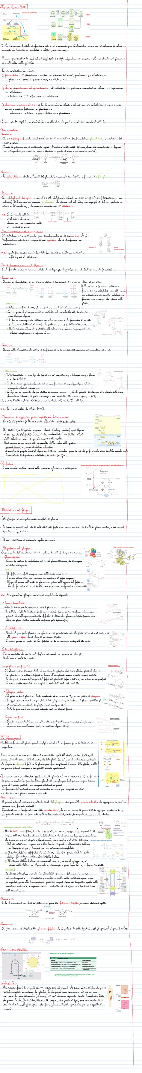 Appunti Di Chimica E Biologia 1 Docsity