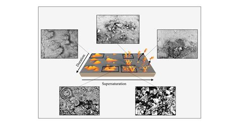 Crystal Nucleation And Growth Supersaturation And Crystal Resilience