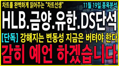 Hlb 금양 유한양행 Ds단석 주가 전망 긴급 강해지는 변동성에 절대로 흔들리시면 안됩니다 이 가격은 반드시 확인하세요 엔켐주가 금양 유한양행