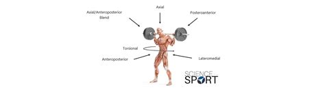 Force Vector Training