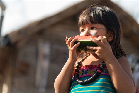 Como Trabalhar A Cultura Dos Povos Indígenas Na Educação Infantil