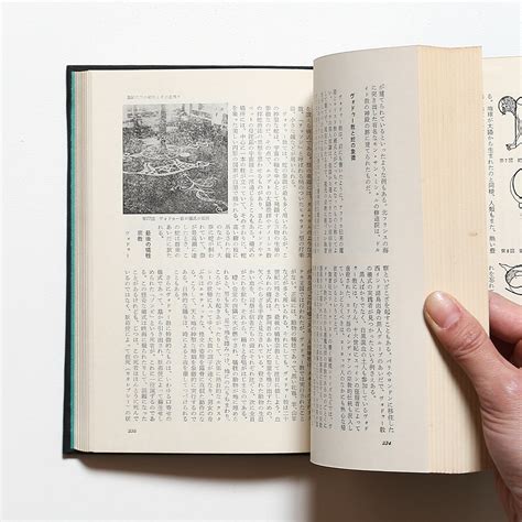 澁澤龍彦集成 全7巻揃 nostos books ノストスブックス