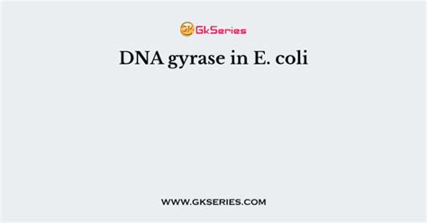 Dna Gyrase In E Coli