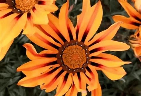 陪你最久的，不是父母，不是爱人，而是人品人生杨绛