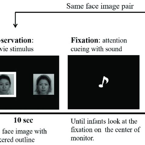 Pdf Face Preference In Infants At Six And Nine Months Old The Effects Of Facial