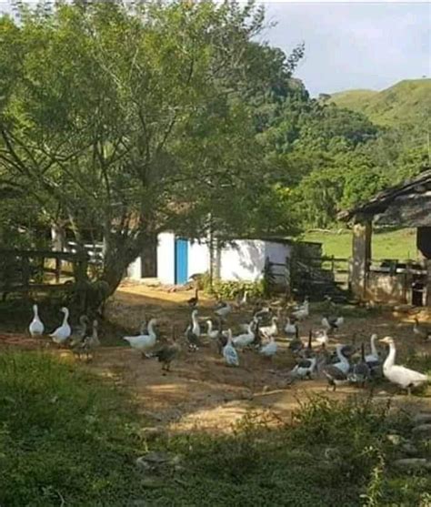 Pin Em Ares Da Roça Vida Na Roça Paisagem Rural Lugares Incríveis