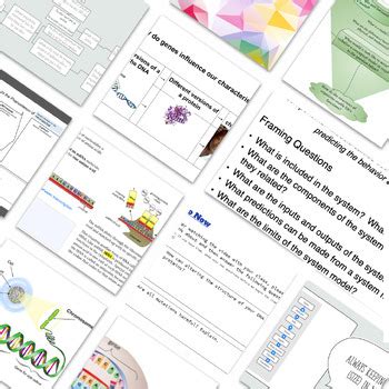 Heritable Genetic Variation Interactive Lecture And Guided Notes