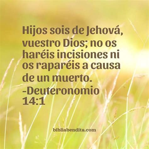 Explicación Deuteronomio 14 1 Hijos sois de Jehová vuestro Dios no