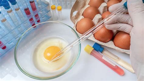 Las Enfermedades Por Transmisiones Alimenticias Aumentan Un 44 En La