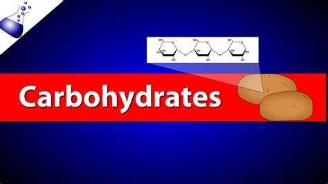 Carbohydrates Youtube