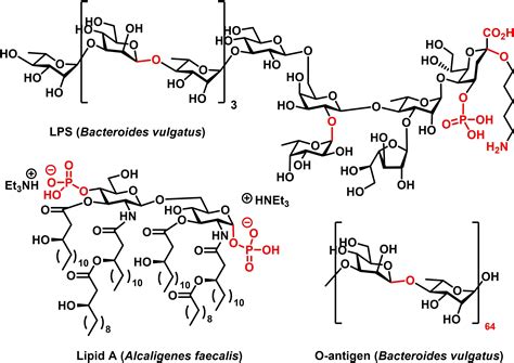 Recent Advances In Chemical Synthesis Of Structural Domains Of