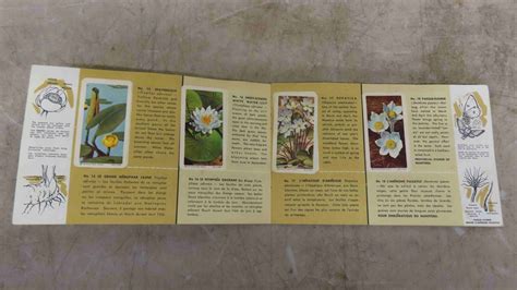 4 Brooke Bond Canada Red Rose Tea Card Albums All Complete