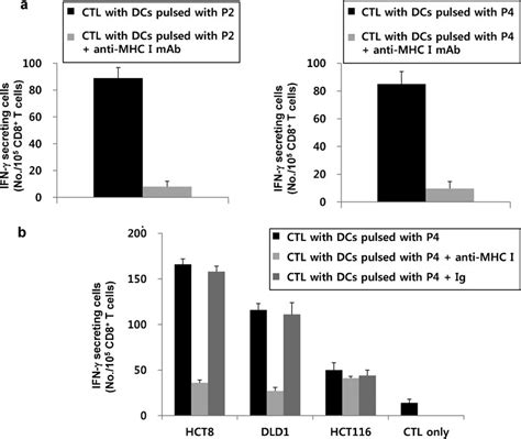 Characterization Of Agr2 Specific Ctl Responses Elispot Assay Showing Download Scientific