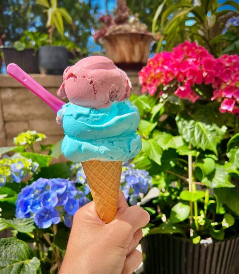 🌸 ИЗБЕР Ice Cream Saloon CliО СЛАДОЛЕДЕН САЛОН КЛИО