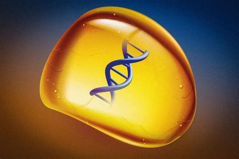 sunalei on linkedin scientists preserve dna in an amber like polymer
