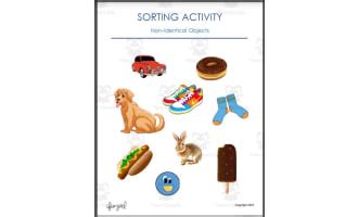 Sorting Activity By Feature Function And Class Large Picture Edition By Teach Simple