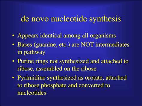 Ppt Biosynthesis And Degradation Of Nucleotides Powerpoint Presentation Id364687