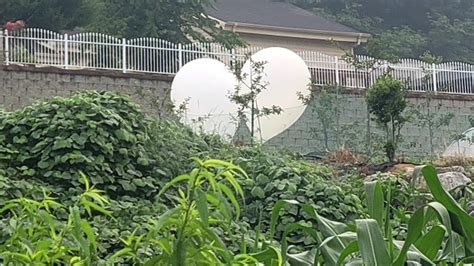 정치 속보 합참 현재까지 北 오물풍선 310여개 식별 Ytn