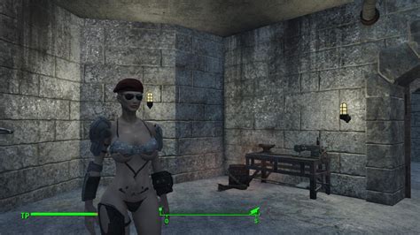 2pacs Cbbe Skimpy Armor And Clothing Replacer Now Version 2 Page