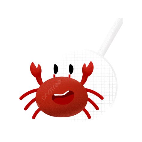Elemento Png De Cangrejo Pintado A Mano Png Animal Material