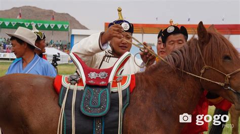 Улсын цолтой 47 бөхөд эмээл хазаартай морь бэлэглэлээ