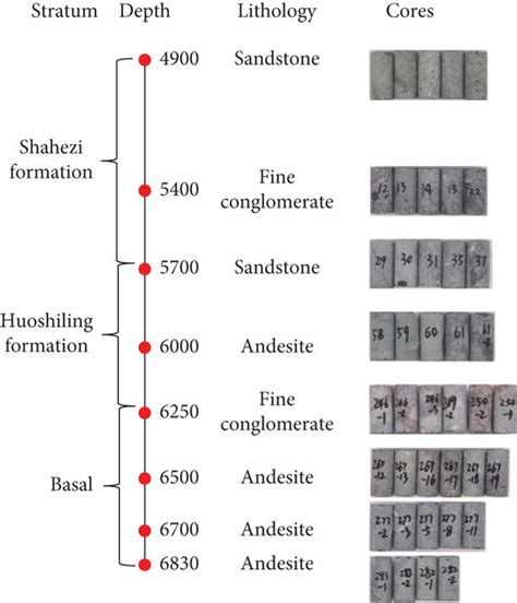 Basic Information Of Deep Cores At Different Depths Download Scientific Diagram