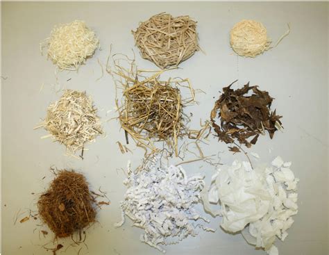 Housing The 3hs Initiative