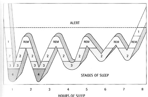 Sleep Cycles Your Nudge