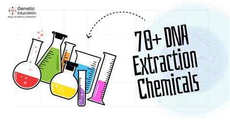 70 Different Dna Extraction Chemicals And Their Function Genetic Education