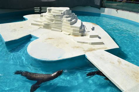 Донација на материјали за новото живеалиште на морските лавови и мал фламинго во скопската