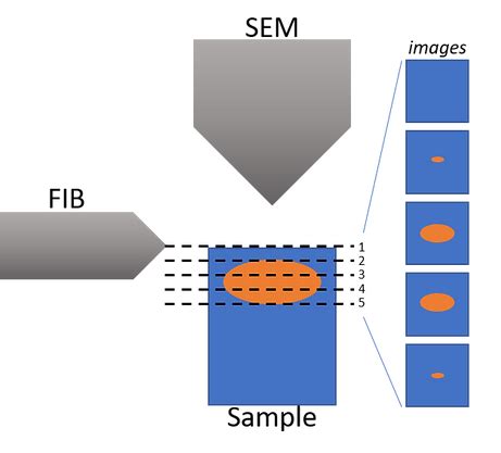 FIB SEM Techspecs Aicjanelia